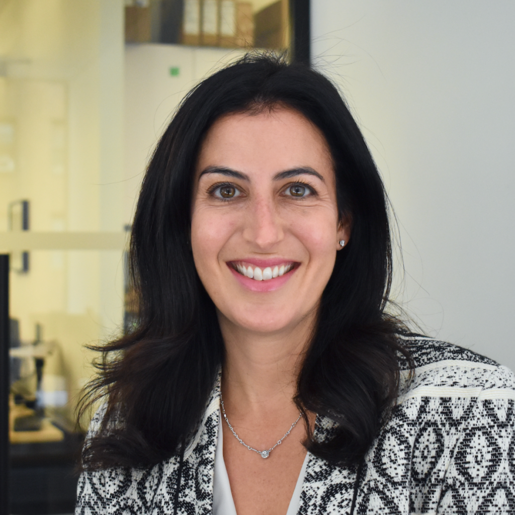 Dina Blumenfeld - Wolfe Research, LLC